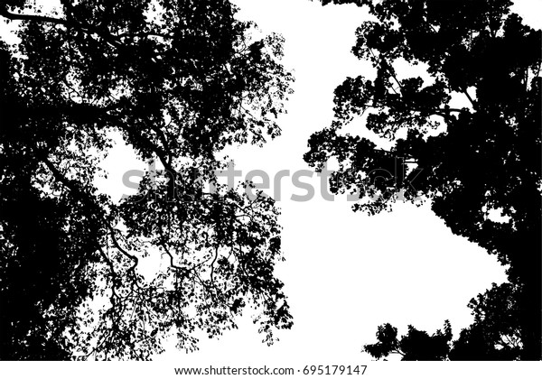 Tree Silhouette Isolated On White Background: เวกเตอร์สต็อก (ปลอดค่า ...