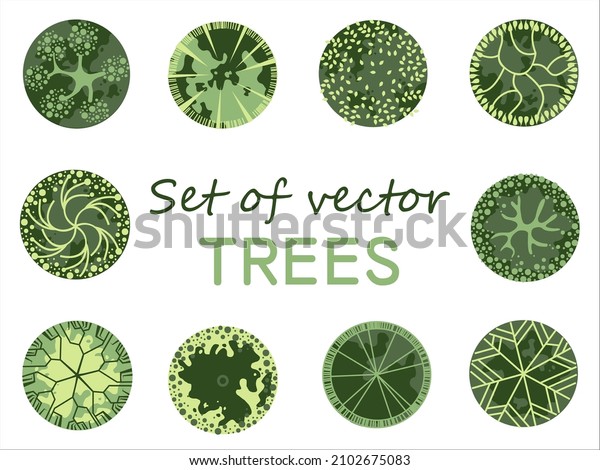 Trees Master Plan Architecture Sketch Green Stock Vector (Royalty Free) 2102675083 | Shutterstock