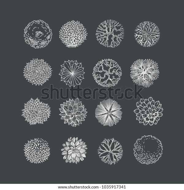 Trees Top View Different Plants Trees Stock Vector (Royalty Free ...