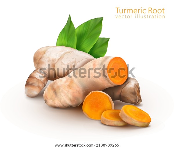 Turmeric Root Eastern Spice Vector Illustration Stock Vector (Royalty ...