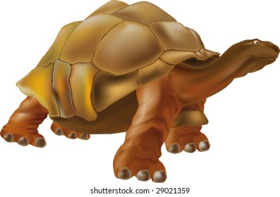 Animated Turtle: Over 234 Royalty-Free Licensable Stock Vectors ...