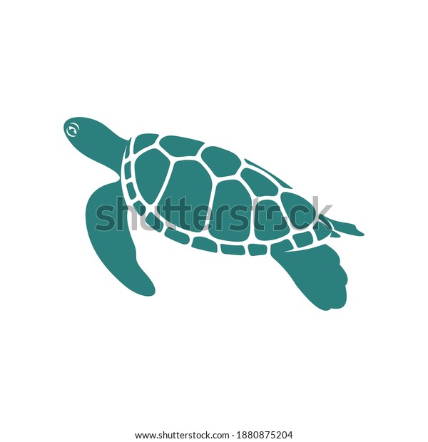 Turtle Design Vector Illustration Creative Turtle Stock Vector (Royalty ...