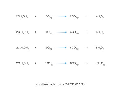 Types Alcohols Combustion Scientific Design Vector Stock Vector (Royalty Free) 2473191135 ...