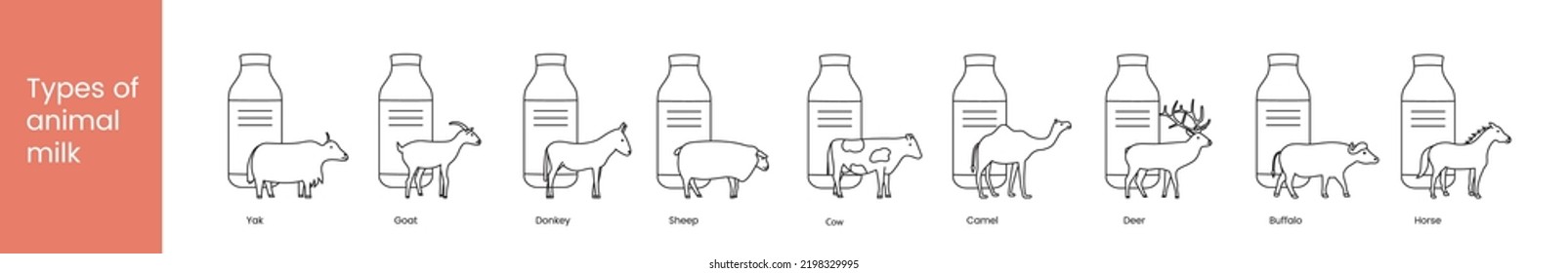 325 Camel Milk Stock Vectors, Images & Vector Art | Shutterstock