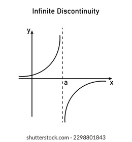 Types Discontinuity Function Infinite Discontinuity Limits Stock Vector ...