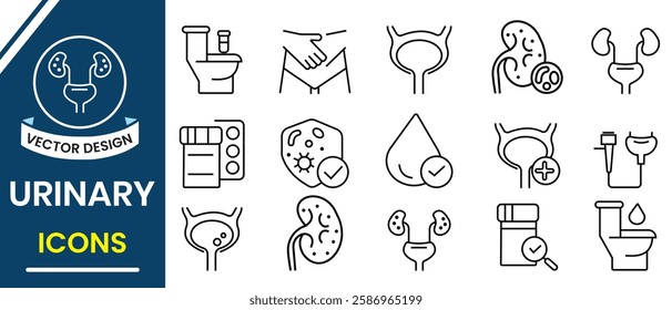 5,106 Urinary Bladder Kidney Stock Vectors and Vector Art | Shutterstock