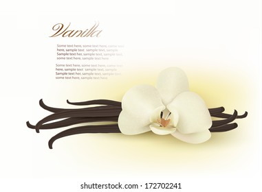 Vanilla Retro Background Vector Stock Vector (Royalty Free) 256081099 | Shutterstock