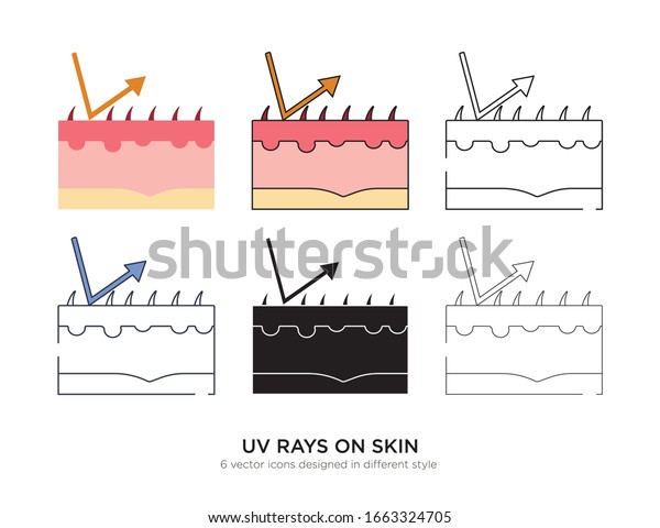 649 Light Skins Diagram Images, Stock Photos, and Vectors | Shutterstock