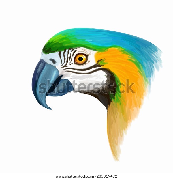 Vector Ara Portrait Stock Vector (Royalty Free) 285319472 | Shutterstock