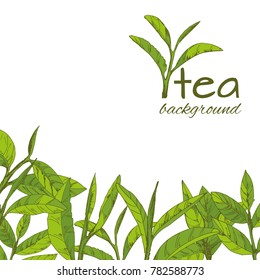 Vector Background Tea Logo Hand-drawn Leaves Stock Vector (Royalty Free ...
