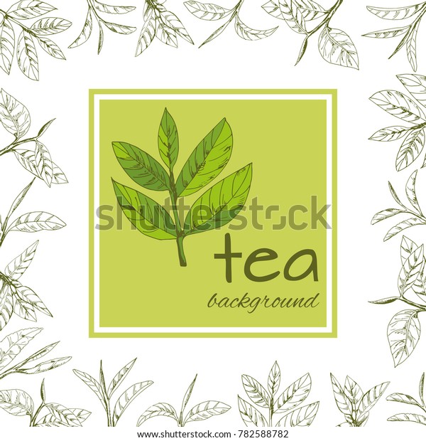 Vector Background Tea Logo Handdrawn Leaves Stock Vector (Royalty Free ...