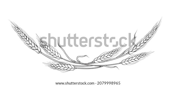 522 Wheat Drawing Circle Frame Vector Images, Stock Photos, 3D objects ...