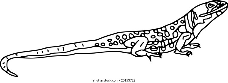 18+ Thousand Lizard Outline Royalty-Free Images, Stock Photos ...
