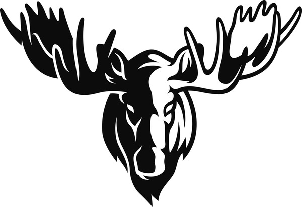Angry Moose Head Drawing
