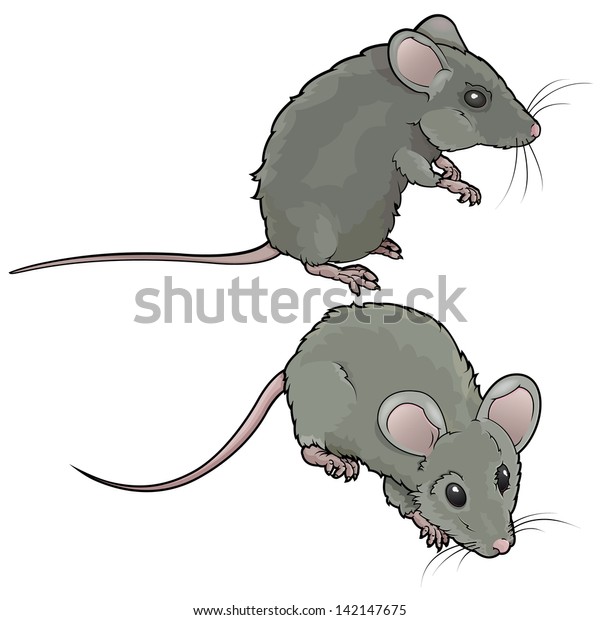 Group Rats Trapped: Over 11 Royalty-Free Licensable Stock Illustrations ...