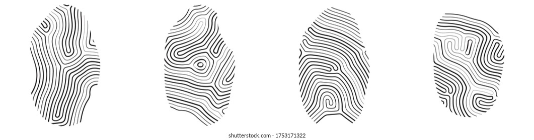 Abstract Tree Rings Vector Topographic Map Stock Vector (Royalty Free ...