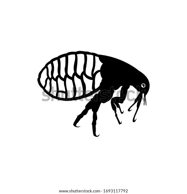 Vector Flea Illustration Flea Icon Stock Vector (Royalty Free ...