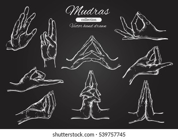 Vector Hand Drawn Set 9 Mudras Stock Vector (Royalty Free) 536178229 | Shutterstock