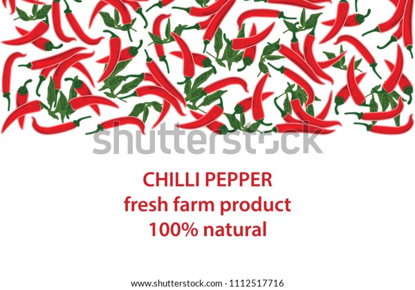 Vector Illustration Chilli Pepper Leaf Design Stock Vector (Royalty ...