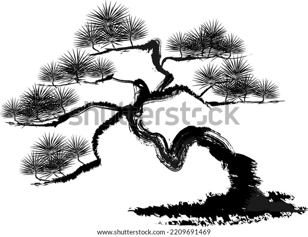 Japanese Pine Tree Photos and Images