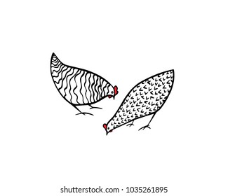 Vector Illustration Hand Drawn Chickens Beautiful Stock Vector (Royalty ...