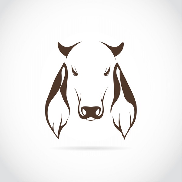 715 en la categoría «Brahman vector» de imágenes, fotos de stock e ...