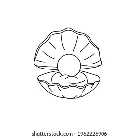Vector Isolated Shell Pearl Line Drawing Stock Vector (Royalty Free ...
