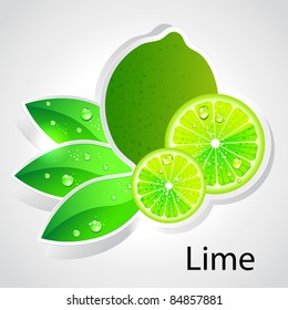 105,937 Lime Fruit Stock Vectors and Vector Art | Shutterstock