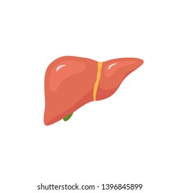 Enlarged Liver Hepatomegaly Disease Icon Human Stock Vector (Royalty ...
