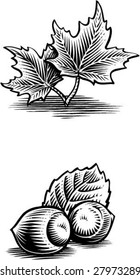 3,477 Maple Engraving Images, Stock Photos & Vectors | Shutterstock