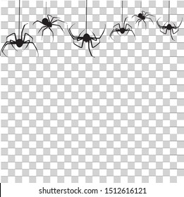 10+ Thousand Transparent Spider Royalty-Free Images, Stock Photos ...