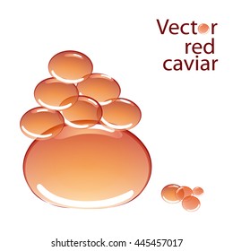 Vector Red Caviar Design Element Fish Stock Vector (Royalty Free ...
