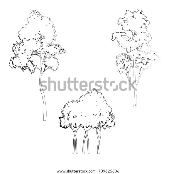 Vector Set Different Trees Outline Sketch Stock Vector (Royalty Free ...