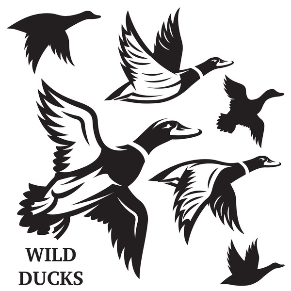 Duck Hunting Vector