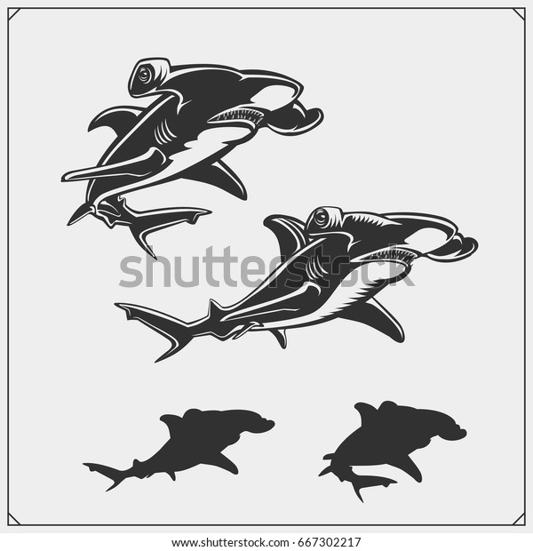 Vector Set Hammerhead Shark Stock Vector (Royalty Free) 667302217 ...