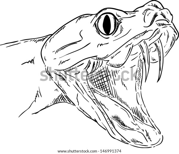 Vector Snake Head Attacking Isolated On: เวกเตอร์สต็อก (ปลอดค่า ...