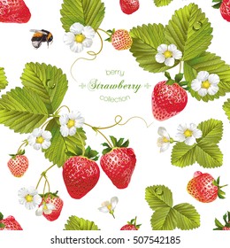 Vector Realistic Illustration Strawberry Leaves Flowers Stock Vector ...
