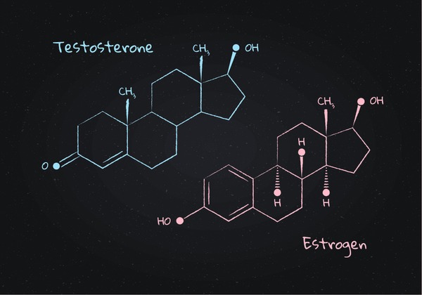 Anti Mullerian Hormone: Over 36 Royalty-Free Licensable Stock ...