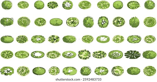 Vector Tree Top View Isolated On Stock Vector (Royalty Free) 2592483733 ...