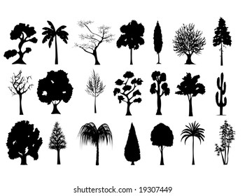 Vector Trees Stock Vector (Royalty Free) 19307449 | Shutterstock