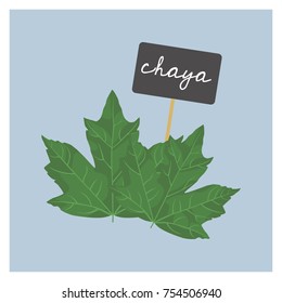 Vector Vegetable Chaya Stock Vector (Royalty Free) 754506940 | Shutterstock