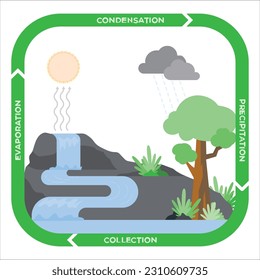 Water Cycle Process On Earth the Stock Vector (Royalty Free) 2310609735 | Shutterstock