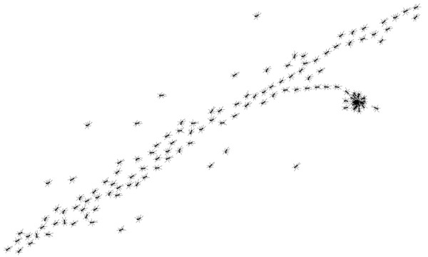928 Ant Isolated Top View Images, Stock Photos, 3D objects, & Vectors ...