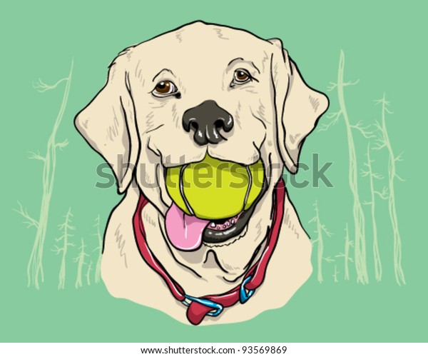 Yellow Lab On Leash: Over 4 Royalty-Free Licensable Stock Illustrations ...