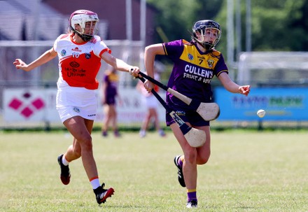 49 imágenes de Littlewoods Ireland Camogie League Division 3 Final ...
