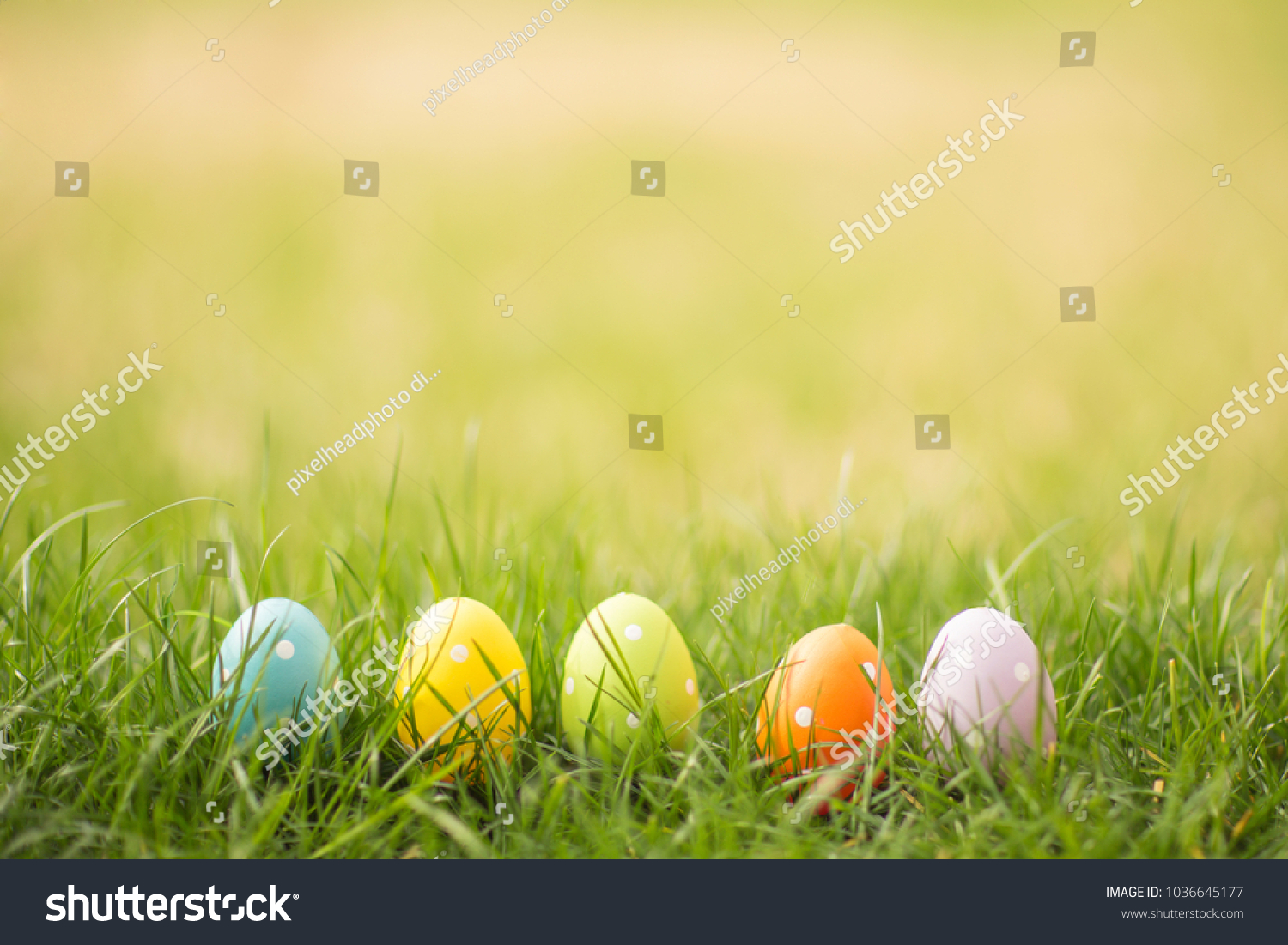 Easter Egg Grass Background