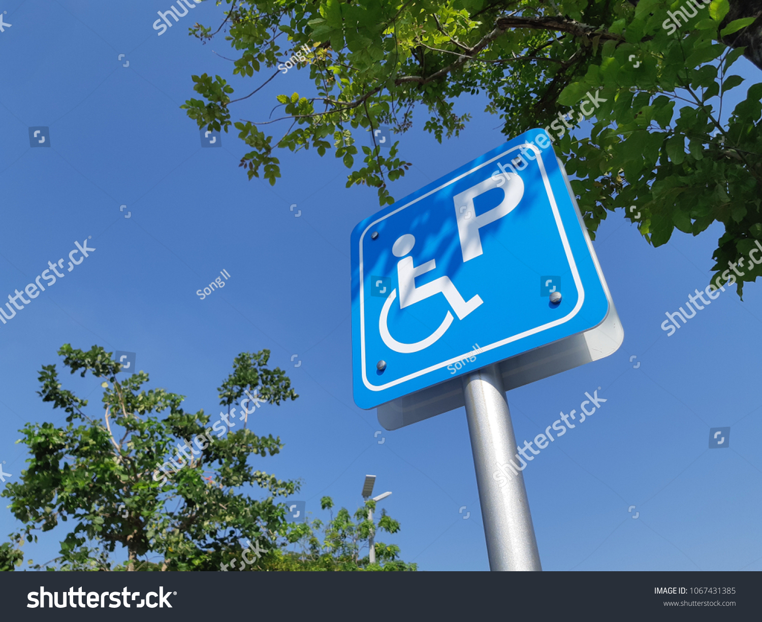 1,274 Handicap Sign Board Images, Stock Photos & Vectors | Shutterstock