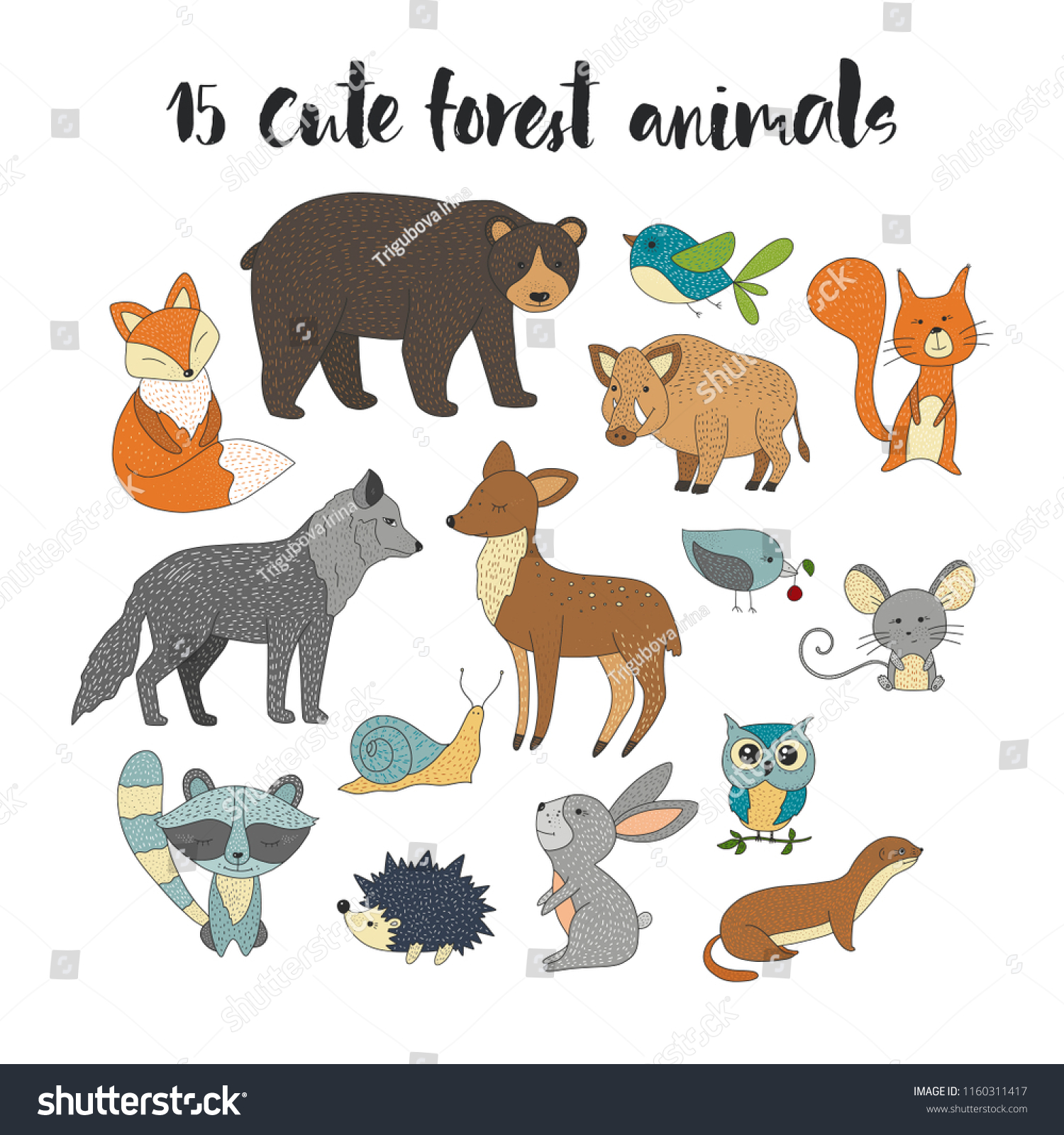 Big Set Hand Drawn Vector Forest Stock Vector (Royalty Free) 1160311417 ...