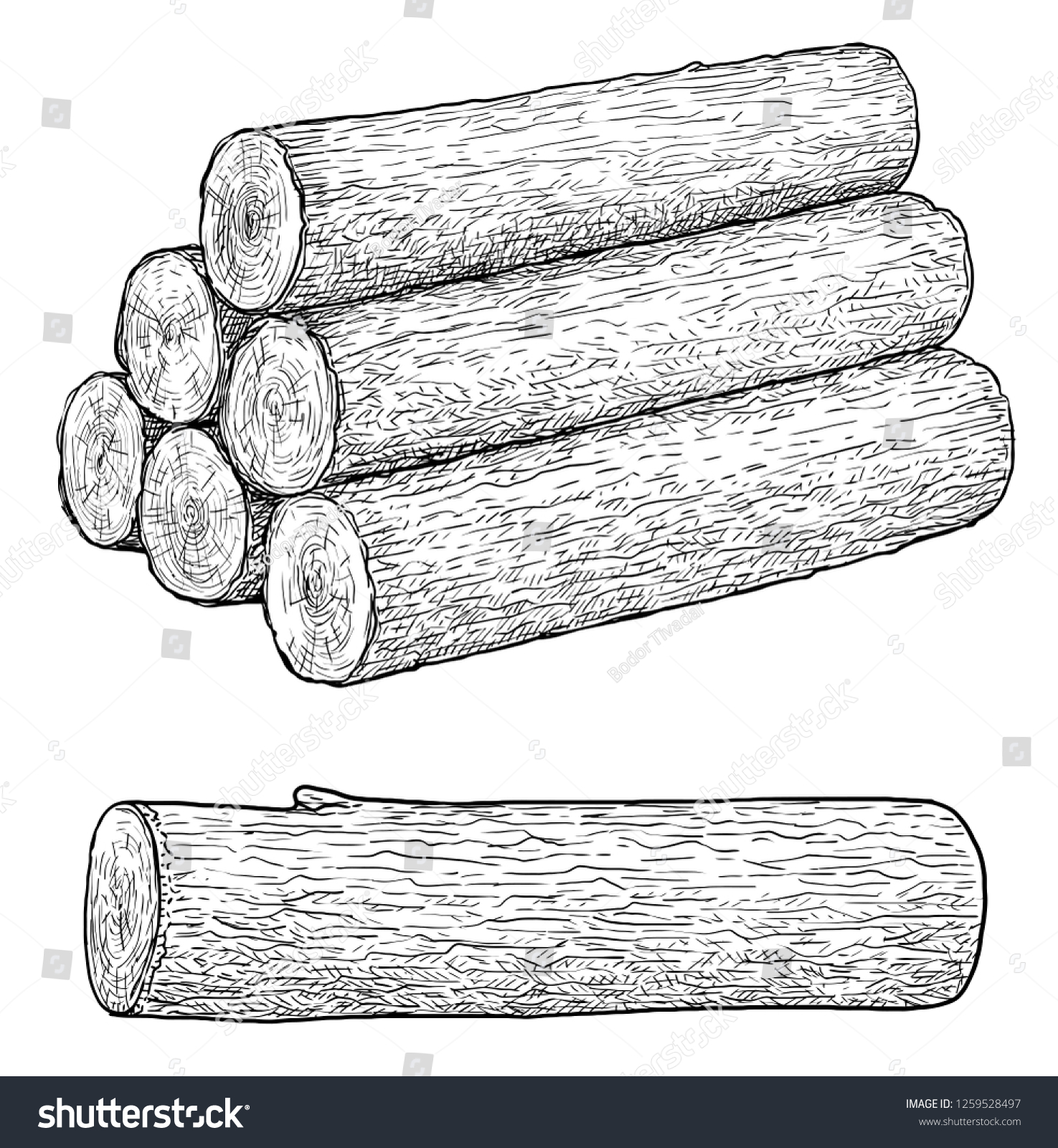 Logs Illustration Drawing Engraving Ink Line: เวกเตอร์สต็อก (ปลอดค่า ...