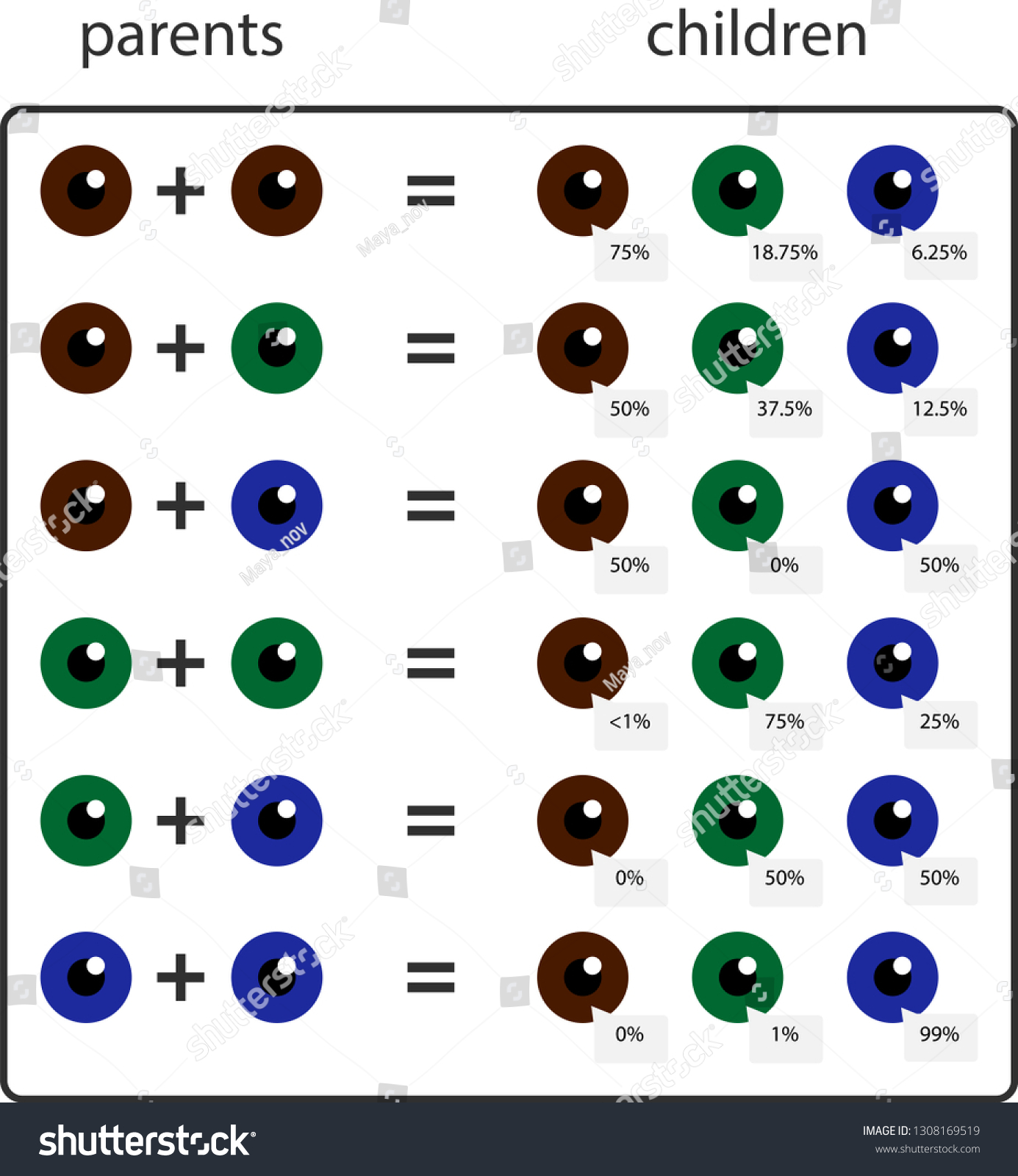 Baby Eye Color Predictor Chart Parents Vector De Stock libre De 